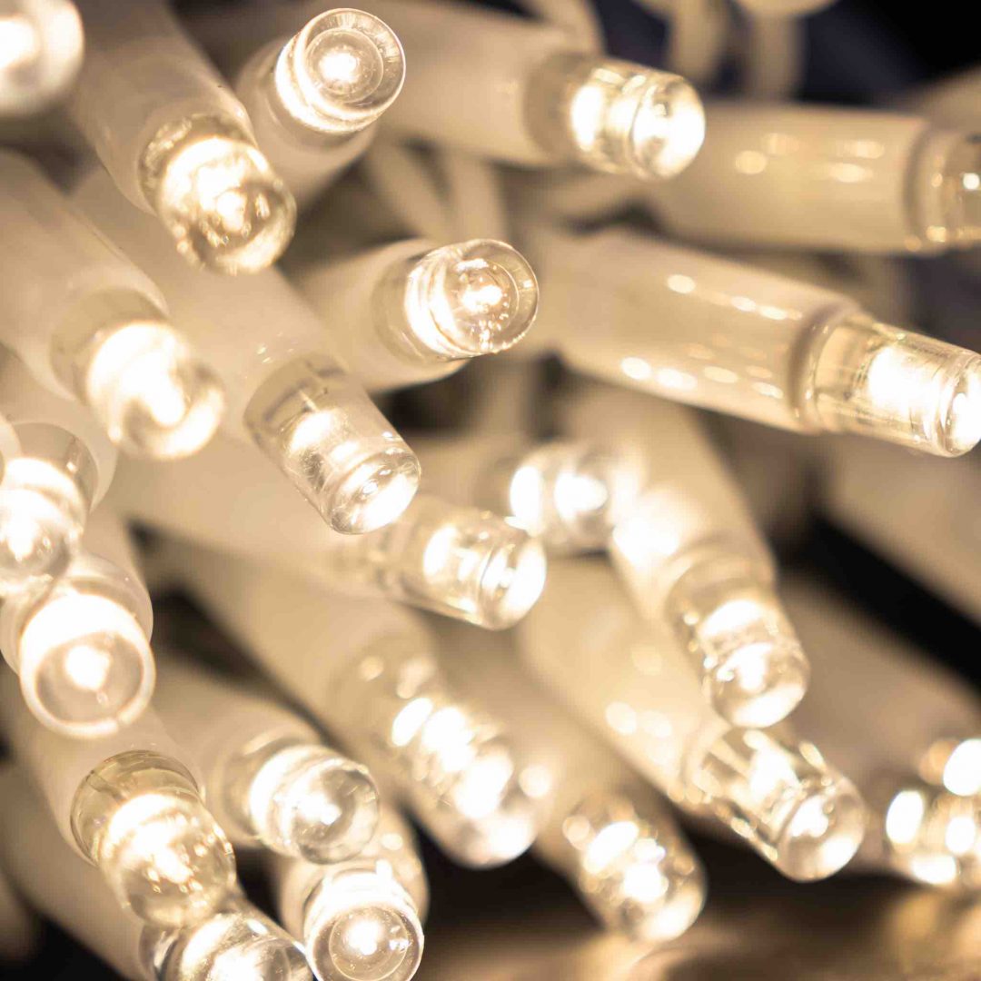 Buy Outdoor Commercial LED Fairy Lights in Sydney