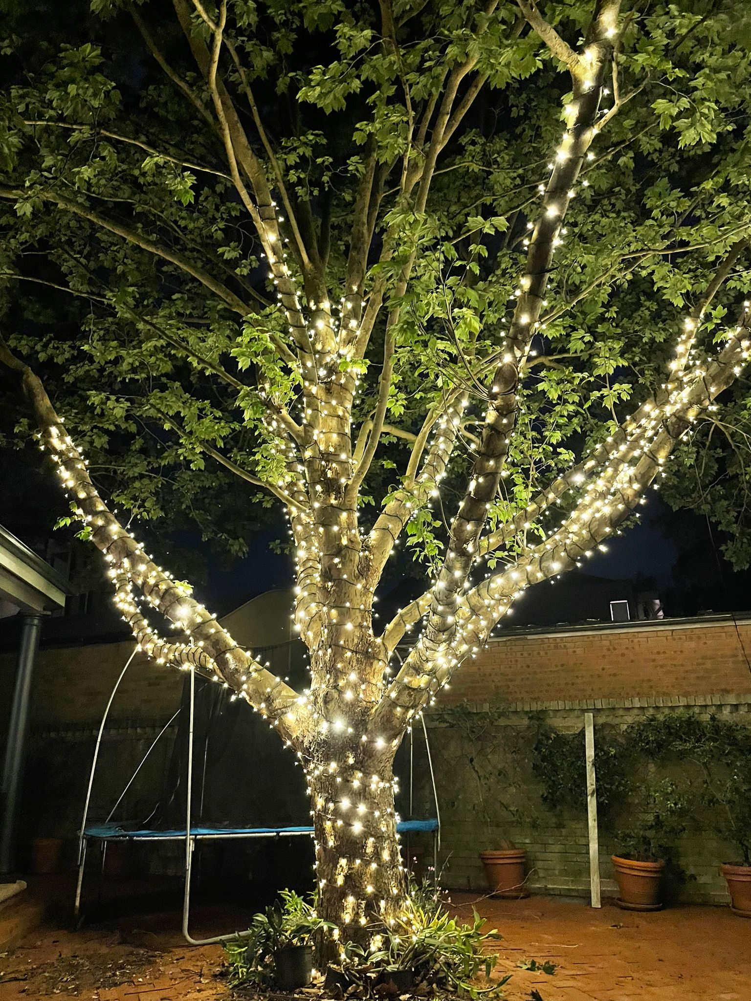 Permanent Outdoor LED Decorative Light Installation Sydney